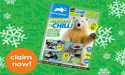 Free Magazines | FreeSamples.co.uk