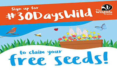 Free Wildflower Seeds – Free Samples | 100% Free Stuff + Freebies UK