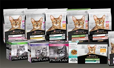 Free Purina Pro Plan Cat Food – Free Samples | 100% Free Stuff ...