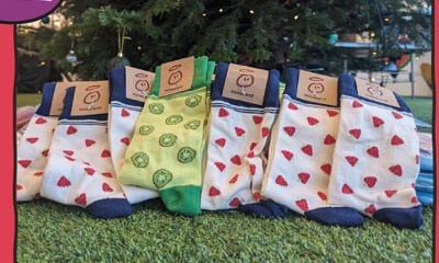 Free Pair of Innocent Socks – Free Samples | 100% Free Stuff + Freebies UK